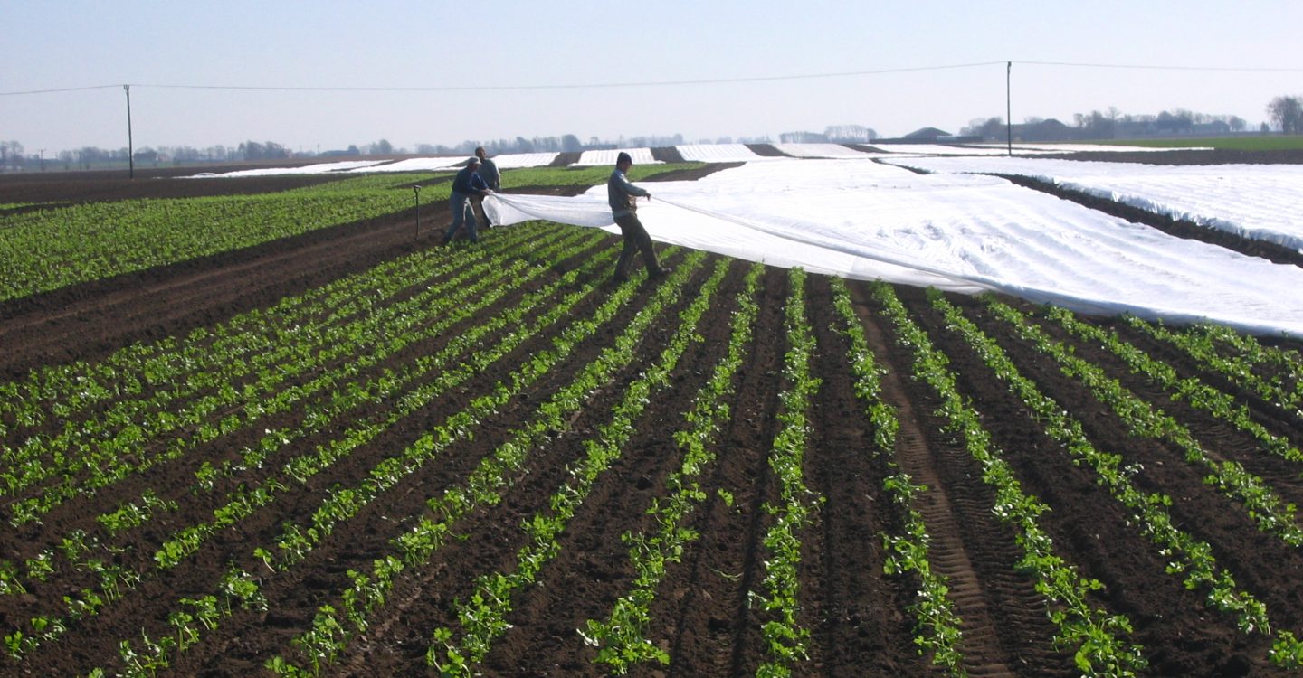 Home | Rain-Flo Irrigation