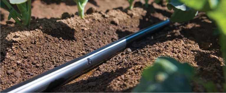 Drip Tape | Rain-Flo Irrigation