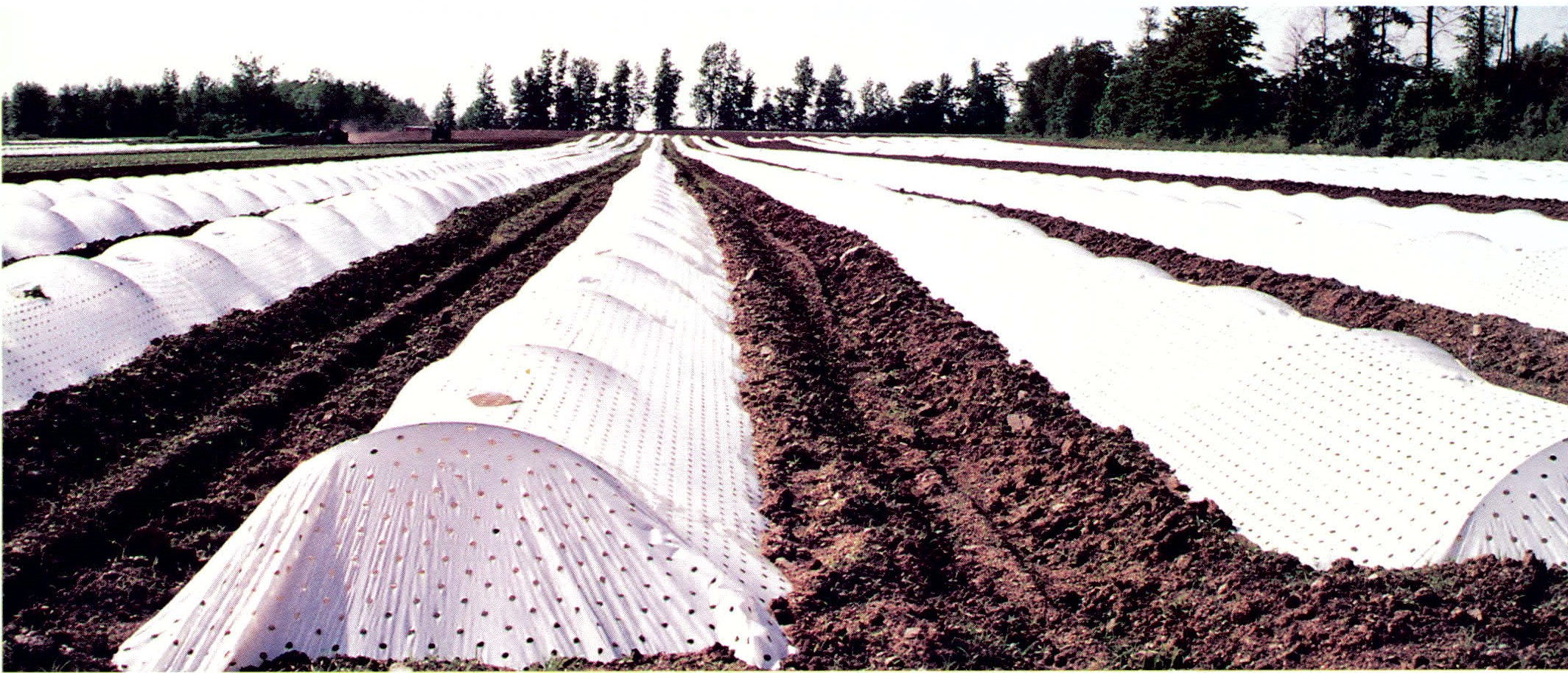 Perforated Plastic | Rain-Flo Irrigation